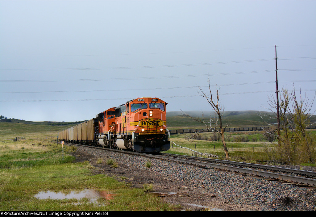 BNSF 8988 Coal Empties